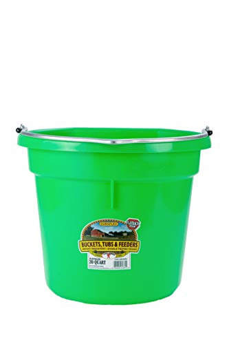 Plastic Animal Feed Bucket (Lime Green) - Little Giant - Flat Back Plastic Feed Bucket with Metal Handle (20 Quarts / 5 Gallons) (Item No. P20FBLIMEGRN6)