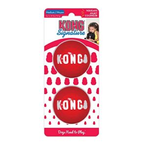 KONG Wild Knots Bear & Signature Balls 2 Pack - Dog Chew Toy for Aggressive Chewers - Dog Ball to Aid Boredom - Plush Toy & Squeak Balls for Snuggling & Fetch/Retrieve - Medium Dogs