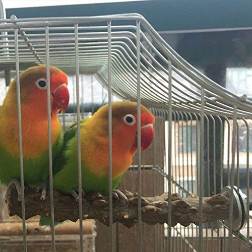 HotMall Bird Perch, US Natural Wood Parrot Perch Stand Paw Grinding Stick Cage Accesssories for Small Birds