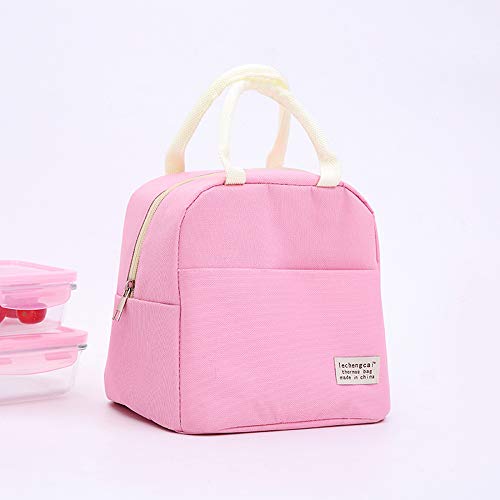 Axgo Lunch Waterproof Bento Box Reusable Thermal Tote Bag for Office Worker Picnic Hiking Beach Fishing, Pink