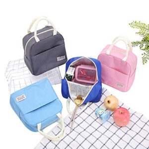 Axgo Lunch Waterproof Bento Box Reusable Thermal Tote Bag for Office Worker Picnic Hiking Beach Fishing, Pink