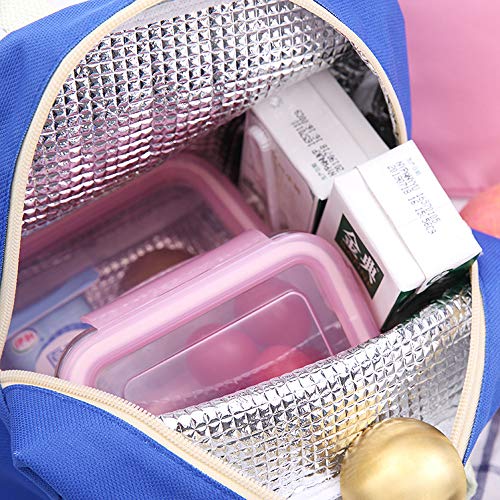 Axgo Lunch Waterproof Bento Box Reusable Thermal Tote Bag for Office Worker Picnic Hiking Beach Fishing, Pink