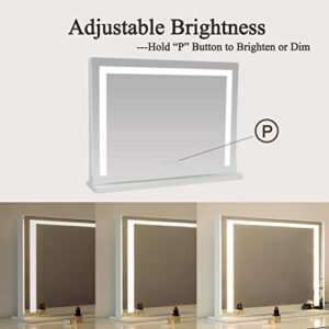 WAYKING Vanity Mirror with Lights, Makeup Mirror with Dimmiable 3 Lighting Modes LED Strip, Wall-Mounted and Tabletop Mirror with USB Charging Port (L22.83 x H17.32 inch)