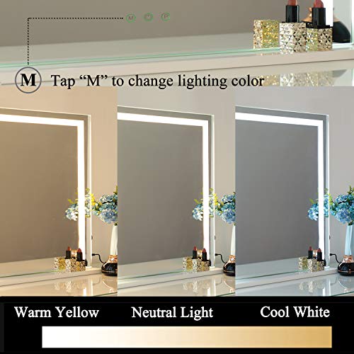 WAYKING Vanity Mirror with Lights, Makeup Mirror with Dimmiable 3 Lighting Modes LED Strip, Wall-Mounted and Tabletop Mirror with USB Charging Port (L22.83 x H17.32 inch)