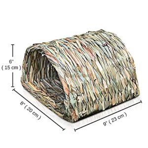 SunGrow Woven Timothy Grass Tunnel for Hamsters, Guinea Pigs, Secret Base for Ninja Training, Ideal for Dwarf Rabbits, Bearded Dragons and Other Pocket Pets, 1pc