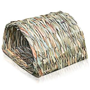 SunGrow Woven Timothy Grass Tunnel for Hamsters, Guinea Pigs, Secret Base for Ninja Training, Ideal for Dwarf Rabbits, Bearded Dragons and Other Pocket Pets, 1pc