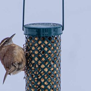 C&S Wild Bird Woodpecker Suet Nuggets Mega Box, 8 Pounds