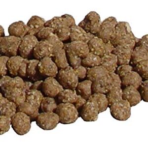 C&S Wild Bird Woodpecker Suet Nuggets Mega Box, 8 Pounds