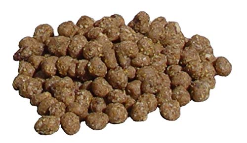 C&S Wild Bird Woodpecker Suet Nuggets Mega Box, 8 Pounds