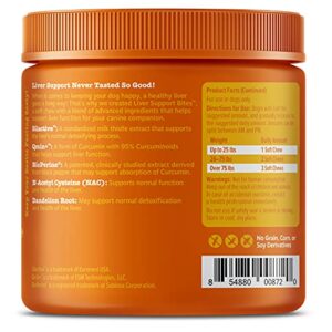 Zesty Paws Liver & Kidney Support Supplement for Dogs - with Milk Thistle Extract, Turmeric Curcumin, Cranberry & Choline - Natural & Grain Free Soft Chew Formula - for Dog Liver Function & Detox