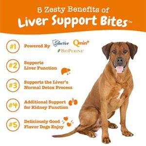 Zesty Paws Liver & Kidney Support Supplement for Dogs - with Milk Thistle Extract, Turmeric Curcumin, Cranberry & Choline - Natural & Grain Free Soft Chew Formula - for Dog Liver Function & Detox