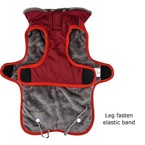 Apetian Dog Cold Weather Coats Winter Dog Vest Warm Dog Jacket Belle (M, A3-Red)