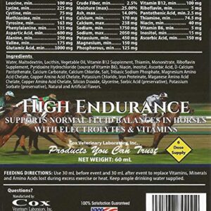 High Endurance Oral Paste Horse Supplement for Horses—3-Pack. Electrolytes, Vitamins and Minerals to Help Prevent Dehydration. Three 60-ml Easy-Dose Syringes. Cox Veterinary Lab. Made in USA.