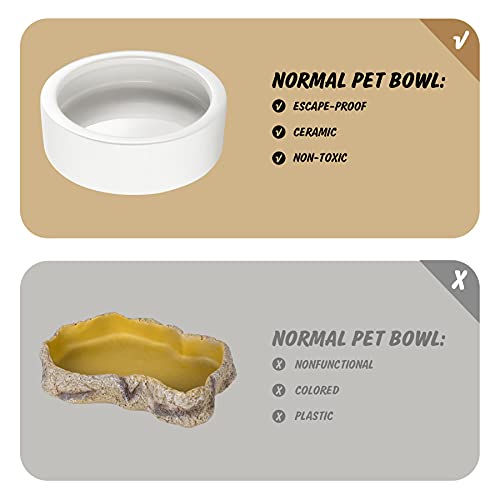 Reptile Food Dish Bowl, Worm Water Dish Small (2.75in) Lizard Gecko Ceramic Pet Bowls, Mealworms Bowls for Leopard Bearded Dragon Chameleon Hermit Crab Dubia Cricket Anti-Escape Mini Superworm Feeder