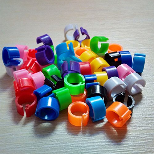 Rubyyouhe8 Bird Accessories&100Pcs Chicken Pigeon Hen Leg Band Poultry Dove Bird Chicks Duck Parrot Clip Rings Colorful Bird Parrot Toys Hanging Toy for Parakeets Cockatiels Small Pet