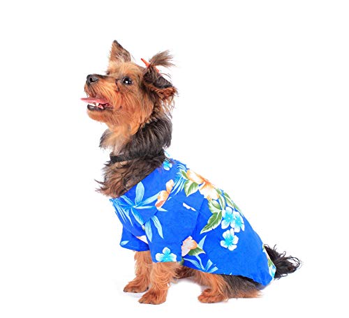 Hawaiian Matching Pattern Dog Aloha Shirt in Hibiscus Blue Size Small