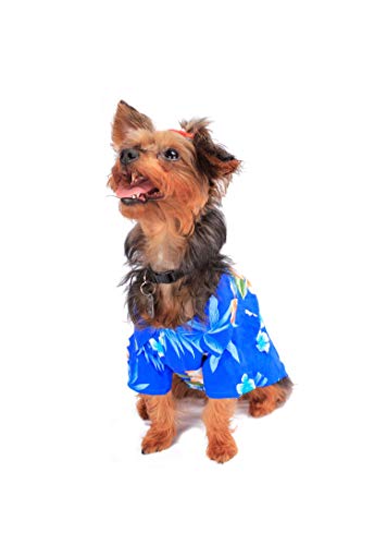 Hawaiian Matching Pattern Dog Aloha Shirt in Hibiscus Blue Size Small