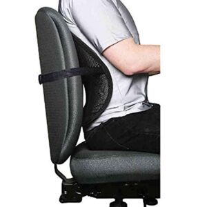 Lumbar Support Mesh Back Support Cushion for Car Seat, Office Chair, Gaming Chair (Black, 2 Pack)