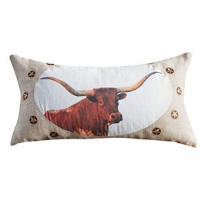 rod's longhorn on burlap with stars pillow