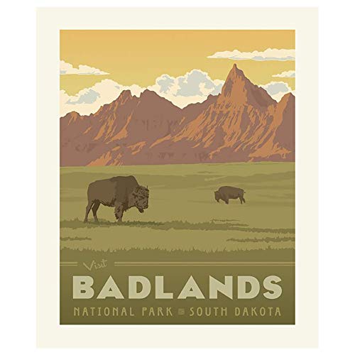 Riley Blake National Parks Badlands Panel, Fabric