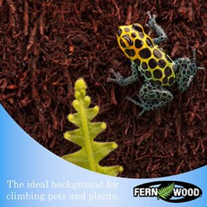 Fernwood Vivarium and Terrarium Background Panels- Made from New Zealand Tree Fern | Natural and Fibrous | for Reptile Tank Backgrounds and Vivarium Backgrounds| 12x6x.06