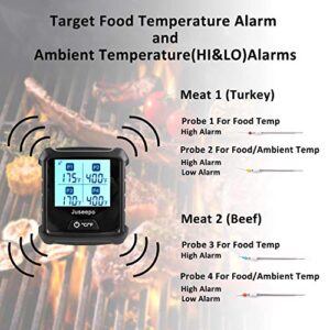 Juseepo Dual Probes Digital Cooking Meat Thermometer, Best for Cooking and Large LCD Backlit Kitchen Food Thermometer with Timer Mode, Suitable for Sugar, Frying