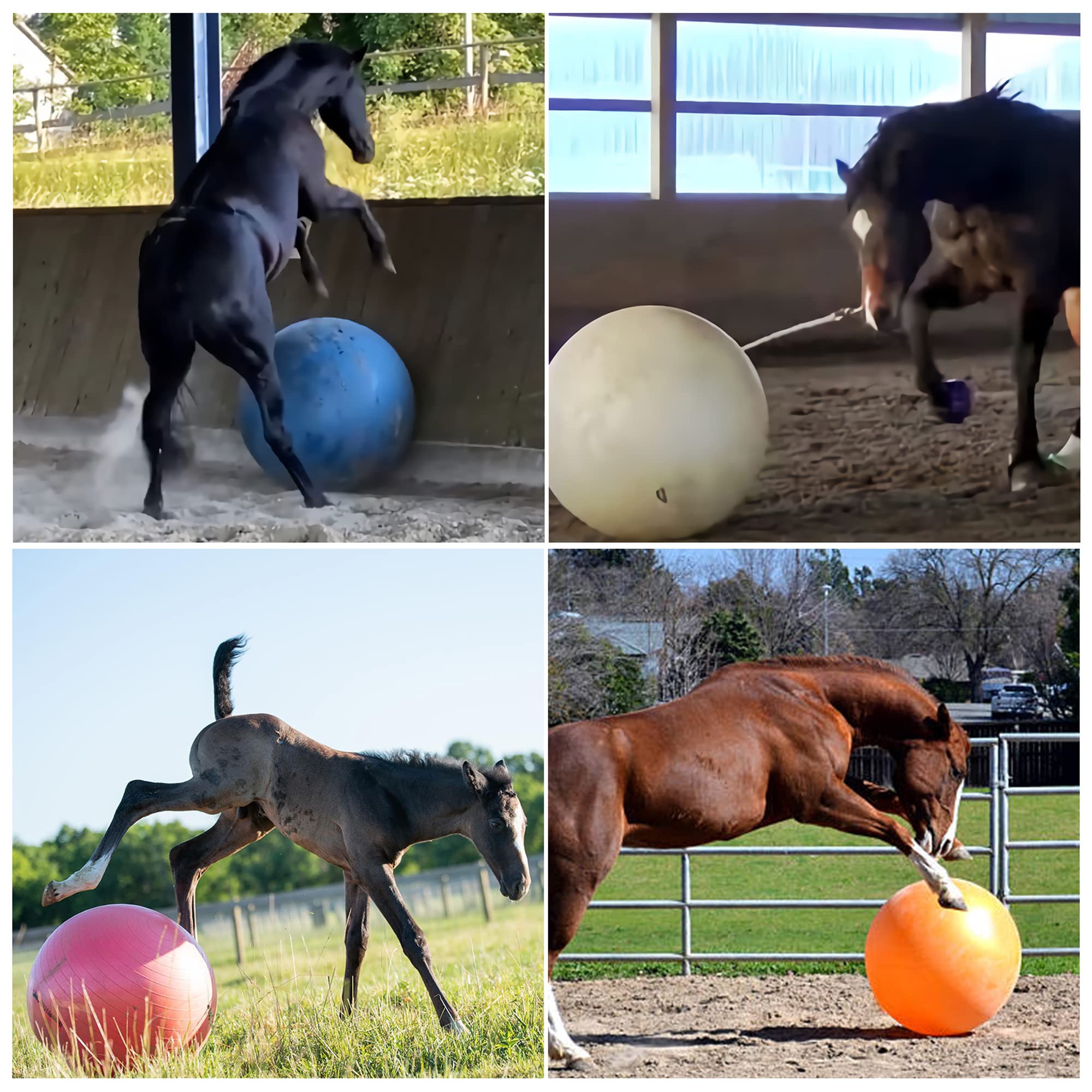 SWYIVY 30 Inch Horse Ball Toy Mega Herding Ball Giant Horse Soccer, Pump Included