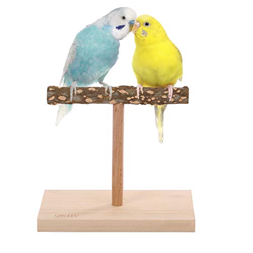 QBLEEV Bird Tabletop Training Stand Perch，Portable Parrot Tee Play Stands, Natural Wood Bird Cage Toys Gym Playground for Small Medium Parakeets Cocktails Conures Lovebirds Finch (Large)