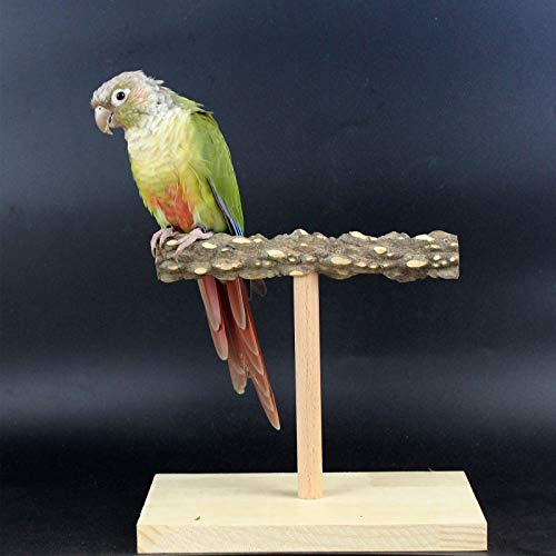 QBLEEV Bird Tabletop Training Stand Perch，Portable Parrot Tee Play Stands, Natural Wood Bird Cage Toys Gym Playground for Small Medium Parakeets Cocktails Conures Lovebirds Finch (Large)