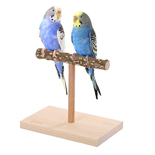 QBLEEV Bird Tabletop Training Stand Perch，Portable Parrot Tee Play Stands, Natural Wood Bird Cage Toys Gym Playground for Small Medium Parakeets Cocktails Conures Lovebirds Finch (Large)