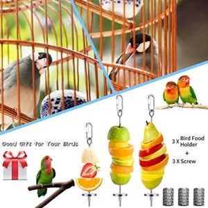 3Pcs Bird Food Holder, Bird Feeder Toy, Stainless Steel Small Animal Fruit Vegetable Stick Skewer, Foraging Hanging Food Feeding Treating Tool for Parrots Cockatoo Cockatiel Cage