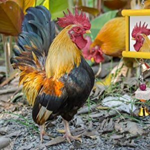 Vehomy 2Pcs Chicken Mirror Toys for Hens Hanging Swing Mirror Toys with Bells and Beak Grinding Molar Stones for Roosters Hens Birds Parrots (Yellow and Red)