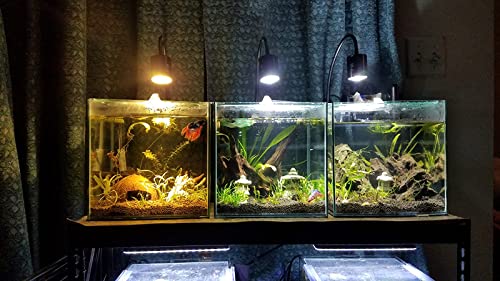 NILIPAL LED Aquarium Light - Freshwater Fish Tank Light Vivarium Terrarium Spotlight 3 Colors 3000K 4000K 6000K Cool Warm White for Planted Fish Tank (3 Colors)