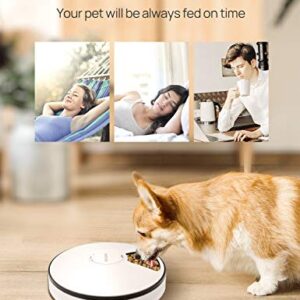 MAICHENG 6 Meal Automatic Pet Feeder-Dry Cat Food Dispenser with Programmable Timer, Portion Control, LCD Display-for Cats Small Dogs-420g