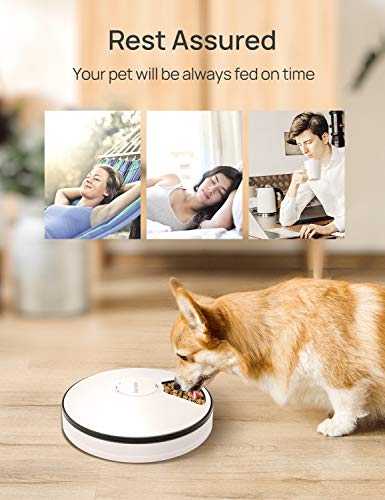 MAICHENG 6 Meal Automatic Pet Feeder-Dry Cat Food Dispenser with Programmable Timer, Portion Control, LCD Display-for Cats Small Dogs-420g