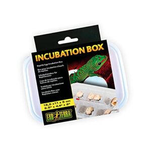 exo terra incubation box for reptile and amphibian terrariums