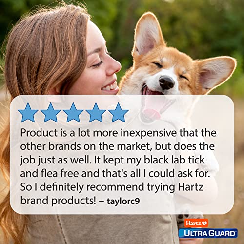 Hartz UltraGuard Dual Action Flea & Tick Topical Dog Treatment and Flea and Tick Prevention, 6 Months,31-60 Pound Dogs