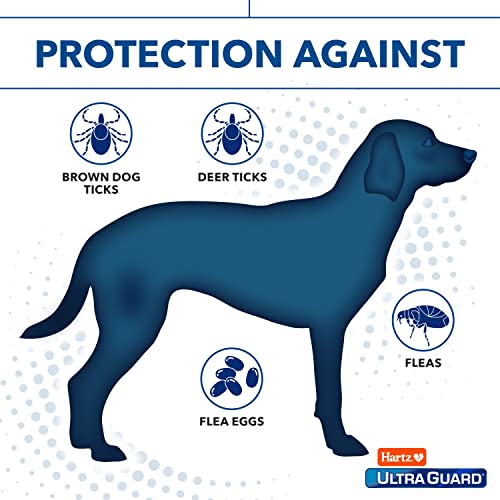 Hartz UltraGuard Dual Action Flea & Tick Topical Dog Treatment and Flea and Tick Prevention, 6 Months,31-60 Pound Dogs