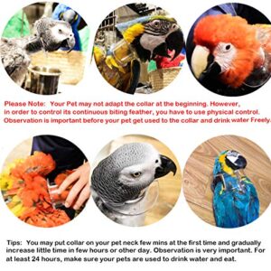 Bonaweite Pet Parrot Anti-bite Collar, Anti-Grab Feather Lick Wound Healing Safety Practical Neck Cover, Protective Recovery Collars for Macaw African Budgies Parakeet Agapornis Fischeri Cockatiel