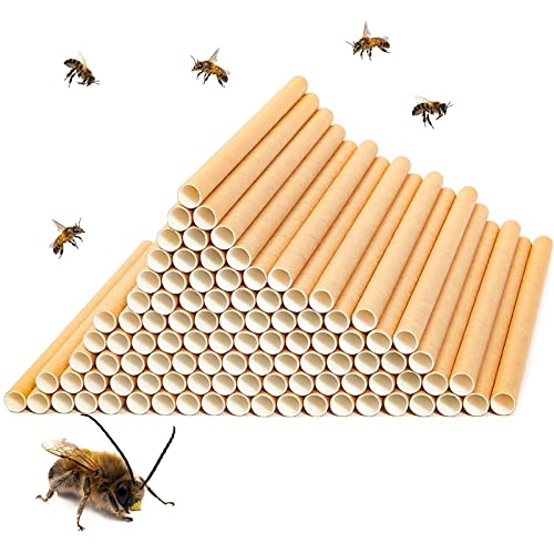 Mason Bee Nest 6mm Cardboard Tubes Refill (6 In, 100-Pack)