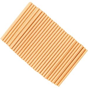 Mason Bee Nest 6mm Cardboard Tubes Refill (6 In, 100-Pack)