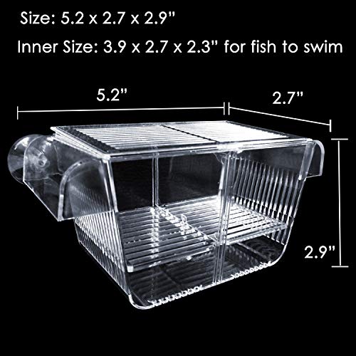 capetsma Fish Breeding Box, Acrylic Fish Isolation Box with Suction Cups, Aquarium Acclimation Hatchery Incubator for Baby Fishes Shrimp Clownfish and Guppy. Small Size (S)