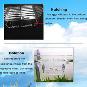 capetsma Fish Breeding Box, Acrylic Fish Isolation Box with Suction Cups, Aquarium Acclimation Hatchery Incubator for Baby Fishes Shrimp Clownfish and Guppy. Small Size (S)