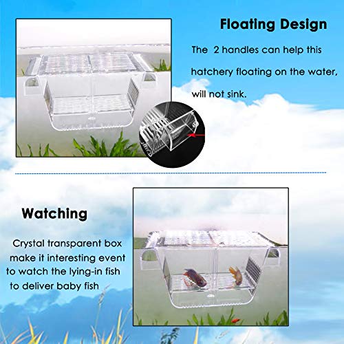 capetsma Fish Breeding Box, Acrylic Fish Isolation Box with Suction Cups, Aquarium Acclimation Hatchery Incubator for Baby Fishes Shrimp Clownfish and Guppy. Small Size (S)