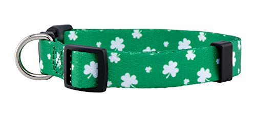 Native Pup St. Patrick's Day Dog Collars (Large, Lucky Shamrock)