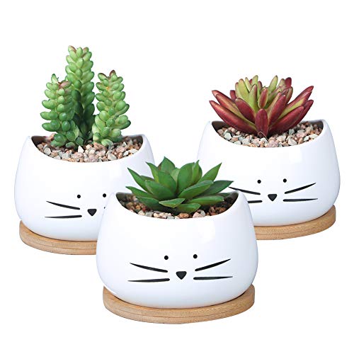 Koolkatkoo 3.2 Inch Cute Cat Ceramic Succulent Planter Pots with Removable Saucer Unique Cactus Planters Porcelain Decorative Flower Pot for Cat Lovers Set of 3 White