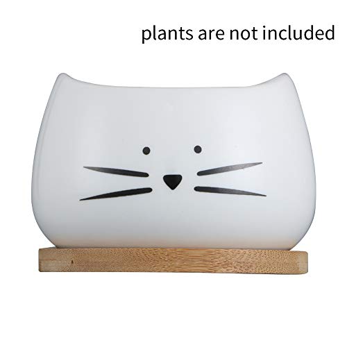 Koolkatkoo 3.2 Inch Cute Cat Ceramic Succulent Planter Pots with Removable Saucer Unique Cactus Planters Porcelain Decorative Flower Pot for Cat Lovers Set of 3 White