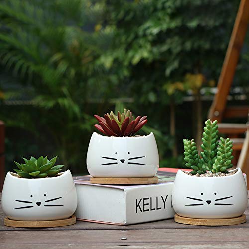 Koolkatkoo 3.2 Inch Cute Cat Ceramic Succulent Planter Pots with Removable Saucer Unique Cactus Planters Porcelain Decorative Flower Pot for Cat Lovers Set of 3 White