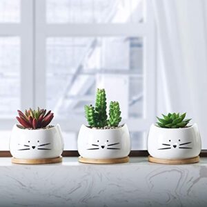 Koolkatkoo 3.2 Inch Cute Cat Ceramic Succulent Planter Pots with Removable Saucer Unique Cactus Planters Porcelain Decorative Flower Pot for Cat Lovers Set of 3 White