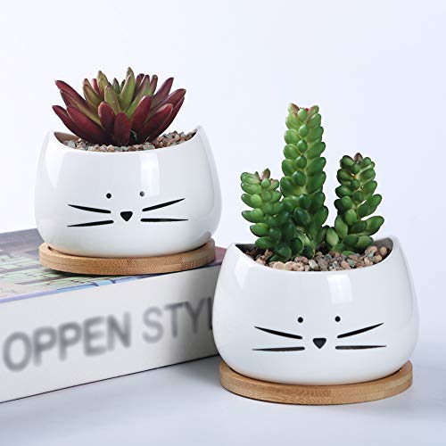 Koolkatkoo 3.2 Inch Cute Cat Ceramic Succulent Planter Pots with Removable Saucer Unique Cactus Planters Porcelain Decorative Flower Pot for Cat Lovers Set of 3 White